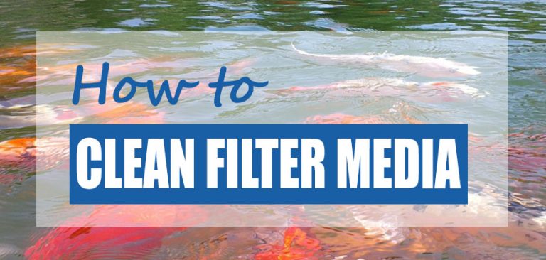 How to Clean Pond Filter Media (And Optimization Tips) - Pond Informer