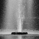 Koi Sunburn Treatment Guide (How To Prevent) - Pond Informer