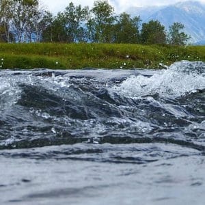 3 Best Lake Muck Blowers 2024 (Muck Removal Machines) - Pond Informer