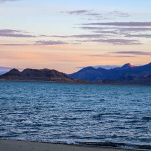 List of Pyramid Lake Fish Species (Updated) - Pond Informer