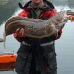 18 Sebago Lake Fish Species (Updated) - Pond Informer