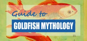 A History of Goldfish in Mythology [Updated] - Pond Informer