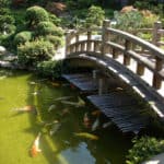 30 Unique & Modern Koi Pond Design Ideas - Pond Informer