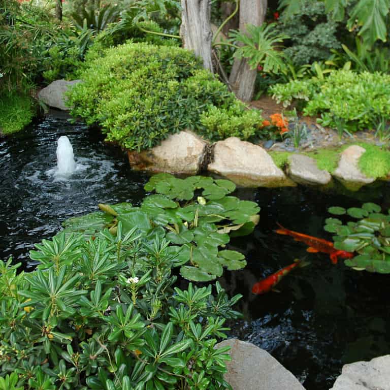 30 Unique & Modern Koi Pond Design Ideas - Pond Informer