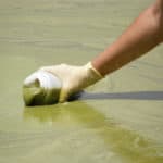 How to Reduce Turbidity in Pond Water (7 Methods) - Pond Informer