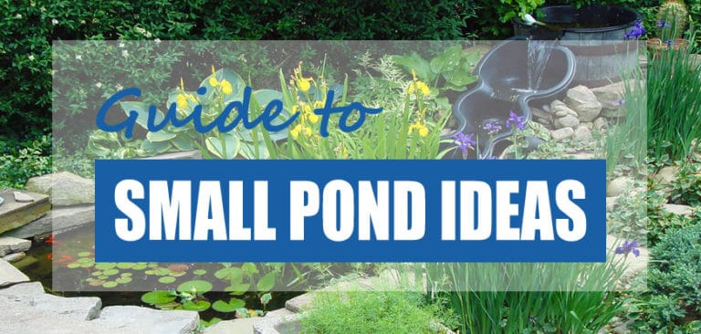 32 Small Pond Ideas with Waterfalls, Plants & More! [Updated] - Pond ...
