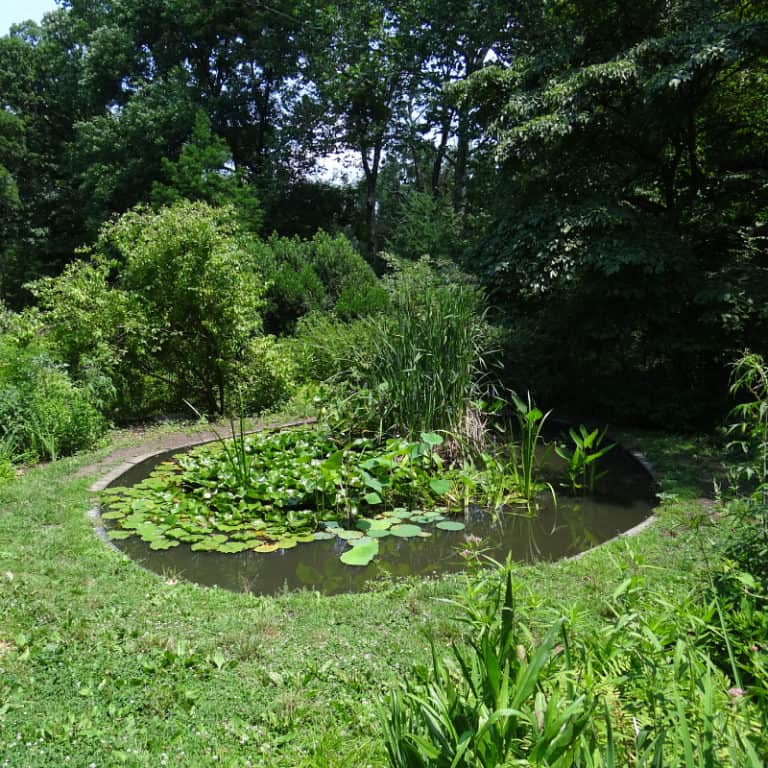 32 Small Pond Ideas with Waterfalls, Plants & More - Pond Informer