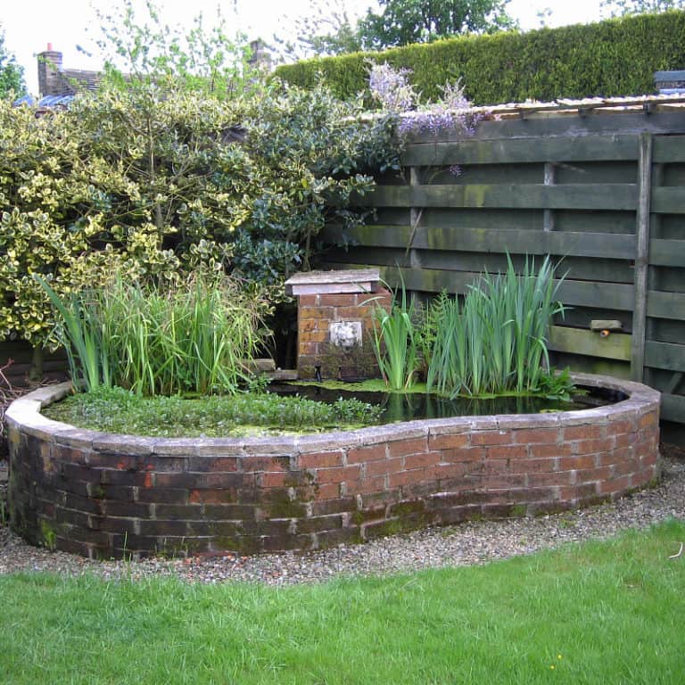 32 Small Pond Ideas with Waterfalls, Plants & More - Pond Informer