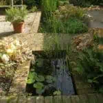 32 Small Pond Ideas with Waterfalls, Plants & More - Pond Informer