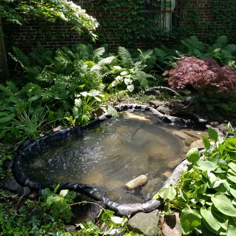 32 Small Pond Ideas with Waterfalls, Plants & More - Pond Informer