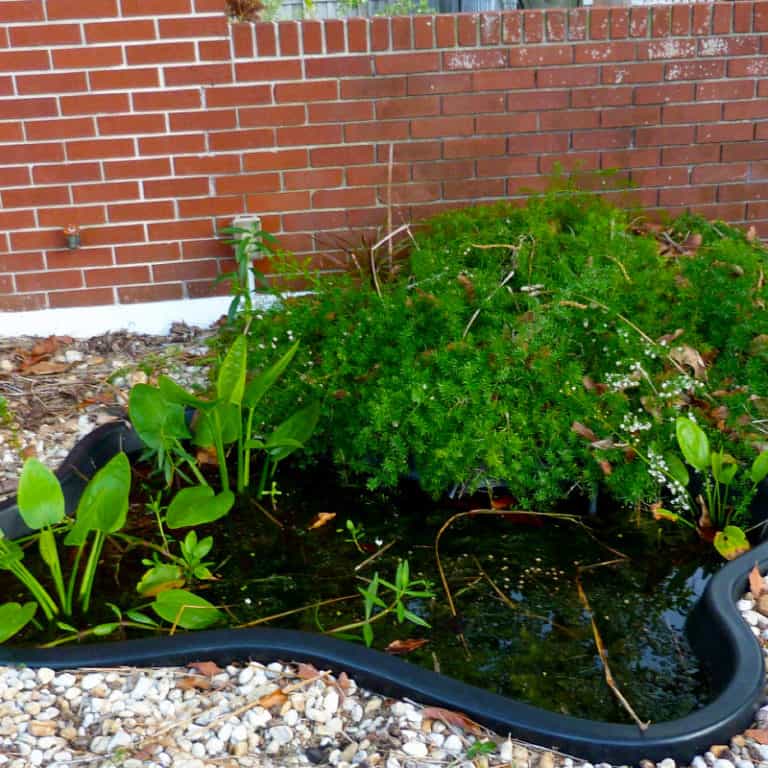 30 Wildlife Pond Design Ideas for Animals & Critters - Pond Informer