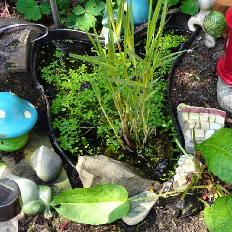 30 Wildlife Pond Design Ideas for Animals & Critters - Pond Informer