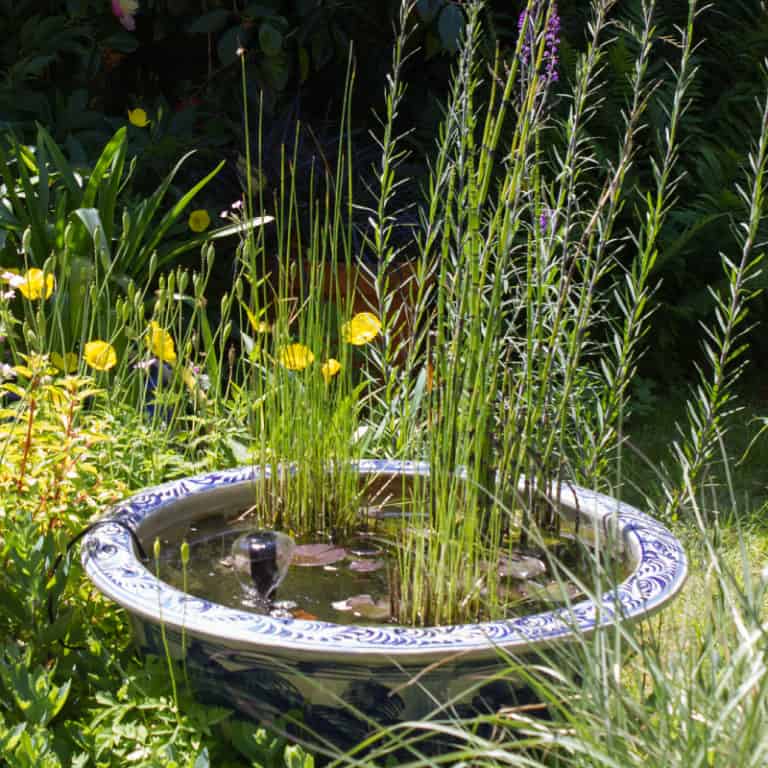 30 Wildlife Pond Design Ideas for Animals & Critters - Pond Informer