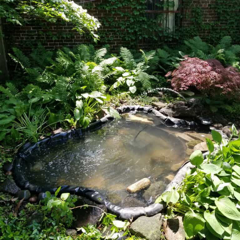 30 Wildlife Pond Design Ideas for Animals & Critters - Pond Informer