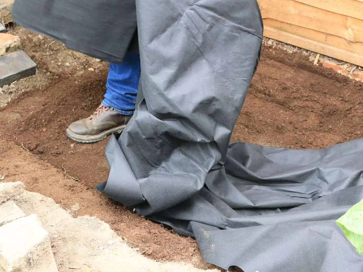 How to Build a Small Wildlife Pond (Cheap & Easy) - Pond Informer