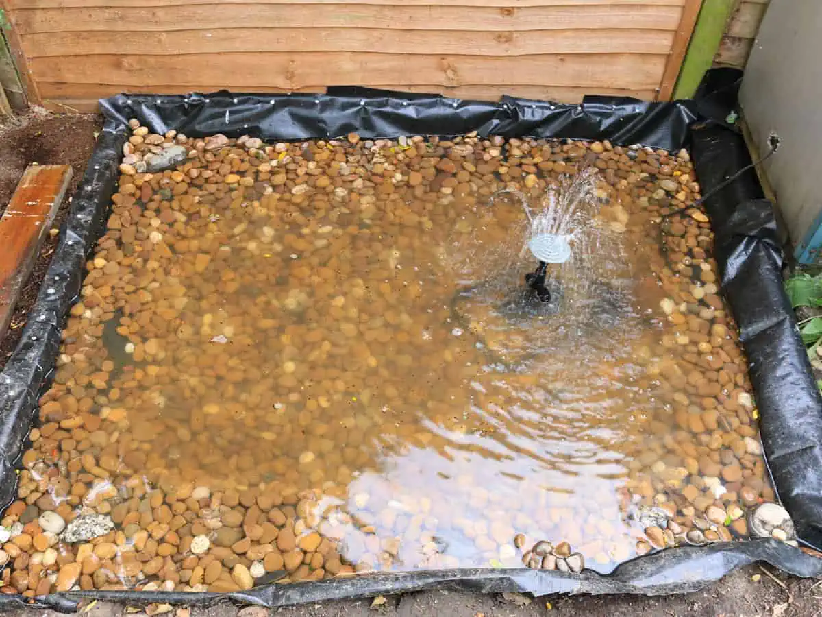 How to Build a Small Wildlife Pond (Cheap & Easy) - Pond Informer