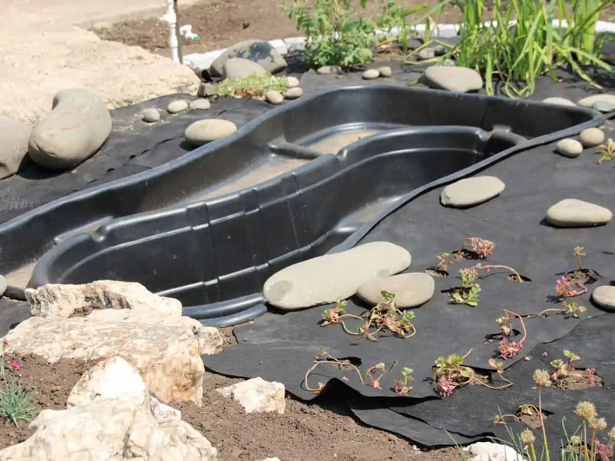 How to Build a Small Wildlife Pond (Cheap & Easy) - Pond Informer