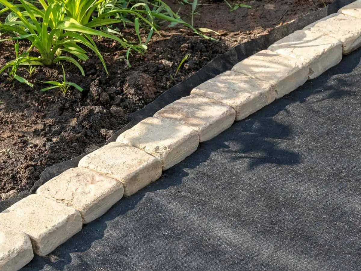 How to Build a Small Wildlife Pond (Cheap & Easy) - Pond Informer