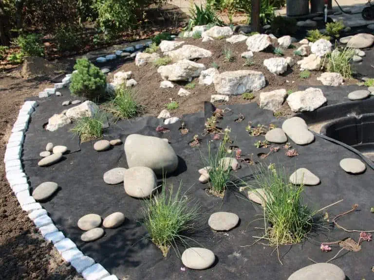 How to Build a Small Wildlife Pond (Cheap & Easy) - Pond Informer