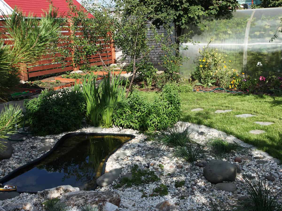 How to Build a Small Wildlife Pond (Cheap & Easy) - Pond Informer