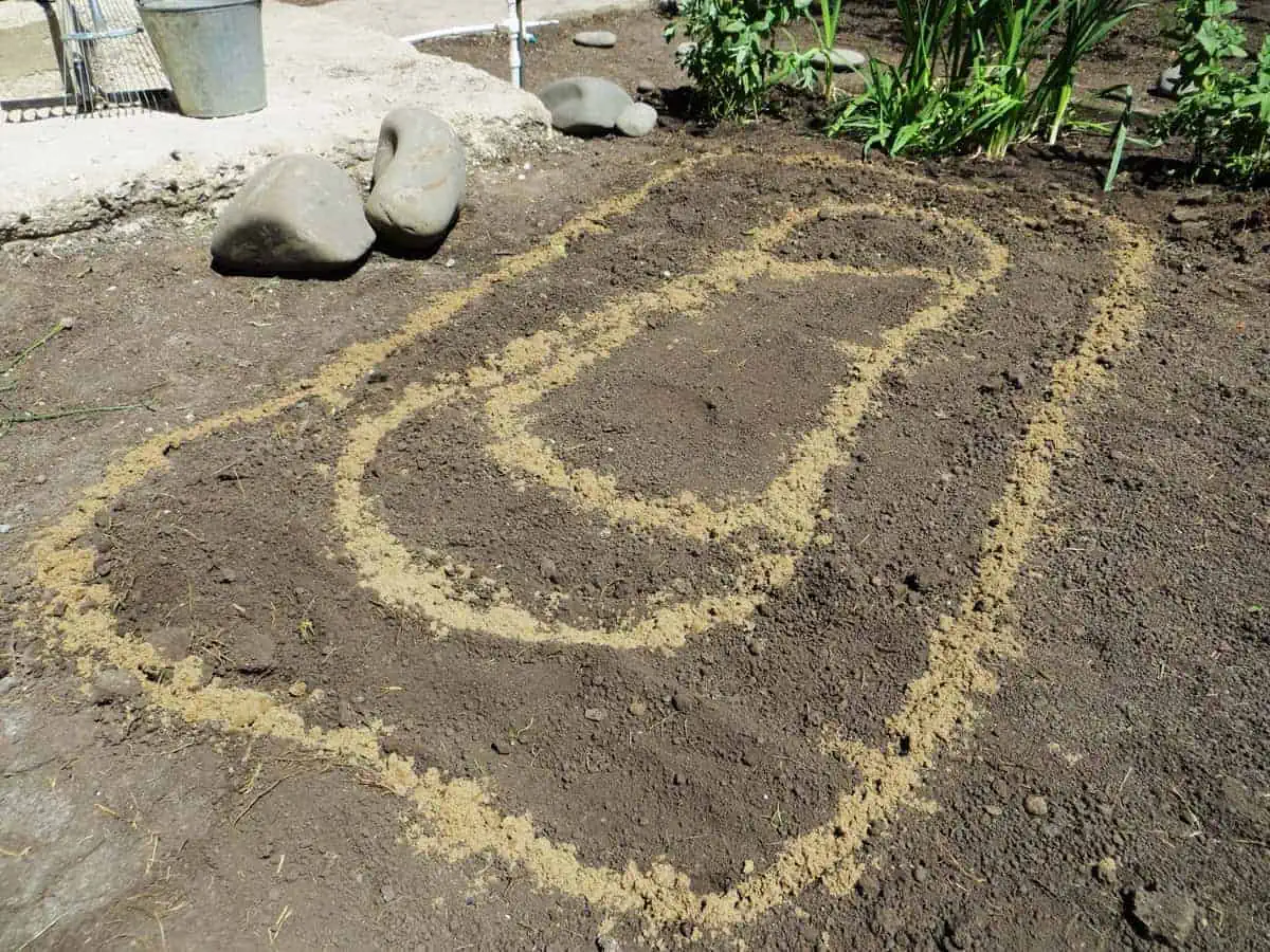 How to Build a Small Wildlife Pond (Cheap & Easy) - Pond Informer