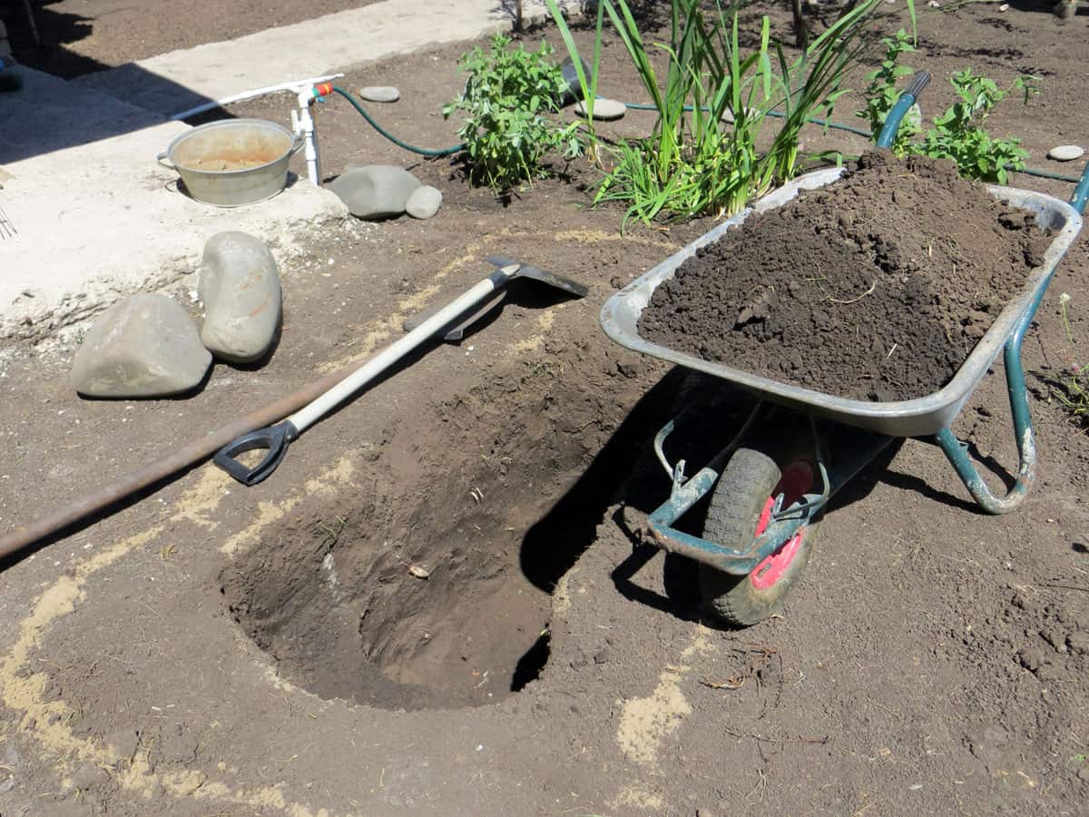 How to Build a Small Wildlife Pond (Cheap & Easy) - Pond Informer