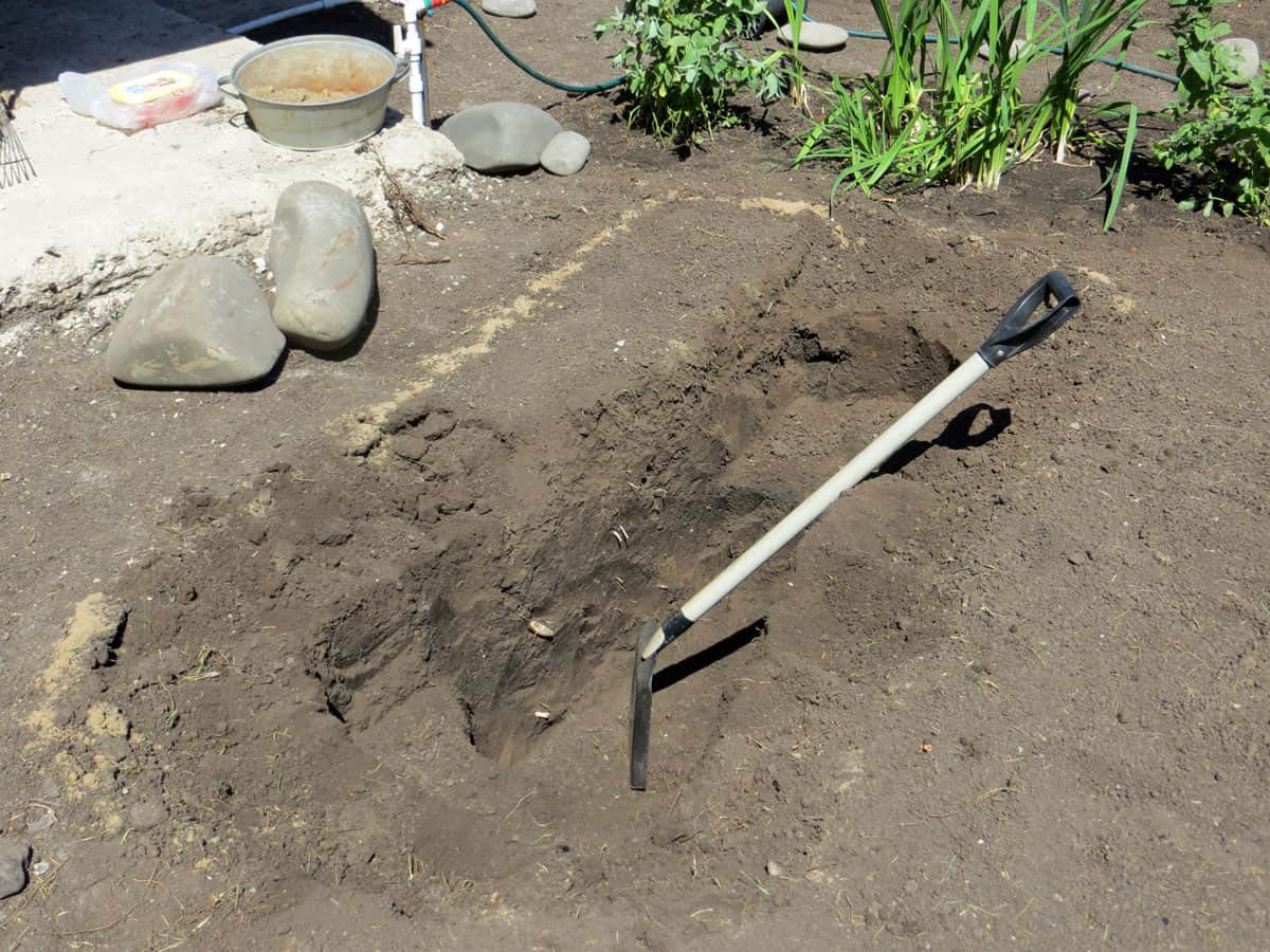 How to Build a Small Wildlife Pond (Cheap & Easy) - Pond Informer