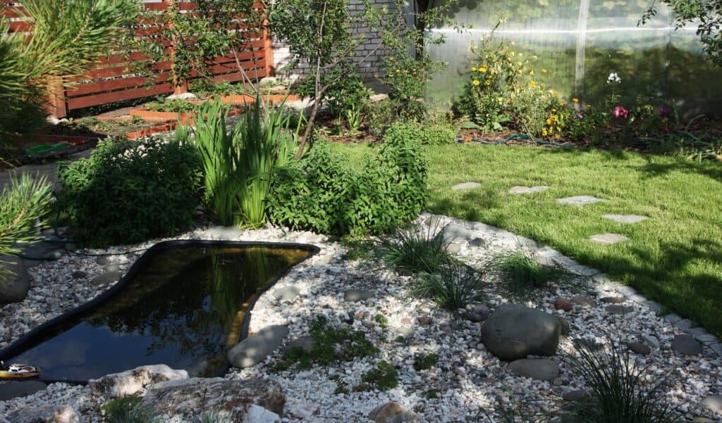 How to Build a Small Wildlife Pond (Cheap & Easy) - Pond Informer