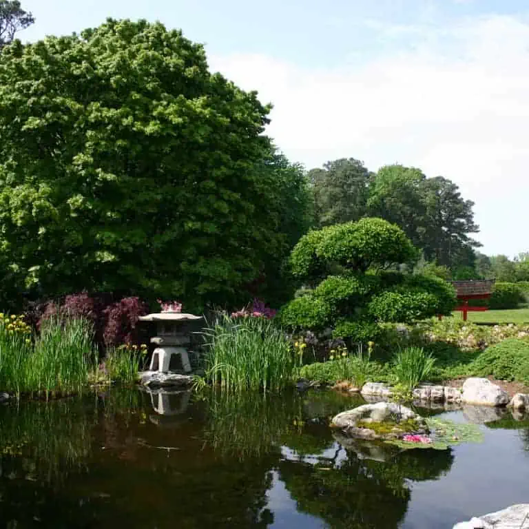 18 Mystical Japanese Pond Design Ideas - Pond Informer