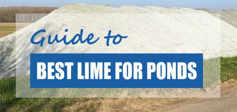 What Kind of Lime Is Best for Ponds? [Pros & Cons] - Pond Informer