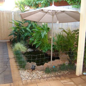 30 Outdoor Goldfish Pond Design Ideas - Pond Informer