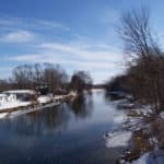 List of Fish Species in the Fox River (Updated) - Pond Informer