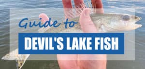 List of Fish Species in Devil's Lake, Wisconsin 2022 - Pond Informer