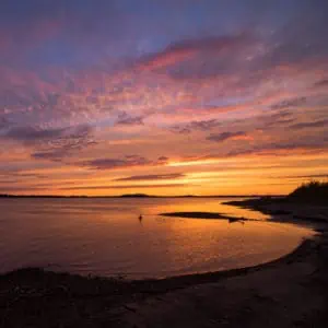 List of Fish Species in the Innoko River (Updated) - Pond Informer