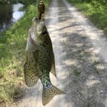 List of Fish Species in Lake Gaston (Updated) - Pond Informer