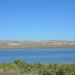 List of Fish Species in the Fontenelle Reservoir (Updated) - Pond Informer