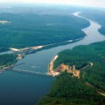 List of Fish Species in Bankhead Lake (Updated) - Pond Informer