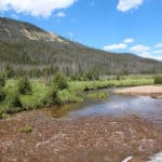 Freshwater Fish Species in Colorado (ID + Pictures) - Pond Informer