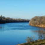 Fish Species in the Jones Bluff Reservoir (Updated) - Pond Informer