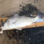 List of Fish Species in Neely Henry Lake (Updated) - Pond Informer