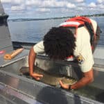 Freshwater Fish Species in Delaware (ID + Pics) - Pond Informer