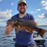 Freshwater Fish Species in Georgia 2023 (ID + Pics) - Pond Informer