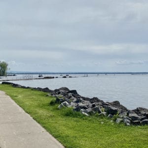 List of Fish Species in Oneida Lake (Updated) - Pond Informer
