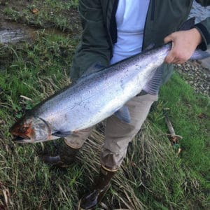 List of Fish Species in Becharof Lake (ID + Pics) - Pond Informer