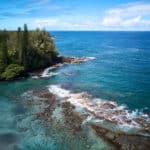 Freshwater Fish Species in Hawaii (ID + Pics) - Pond Informer