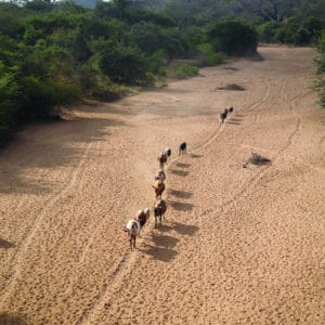 List of Different Types of Streams (Facts & Pics) - Pond Informer