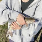 List of Fish Species in Calcasieu Lake (Updated) - Pond Informer