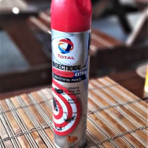 9 Plants That Attract Aphid Predators 2023 [Updated] - Pond Informer