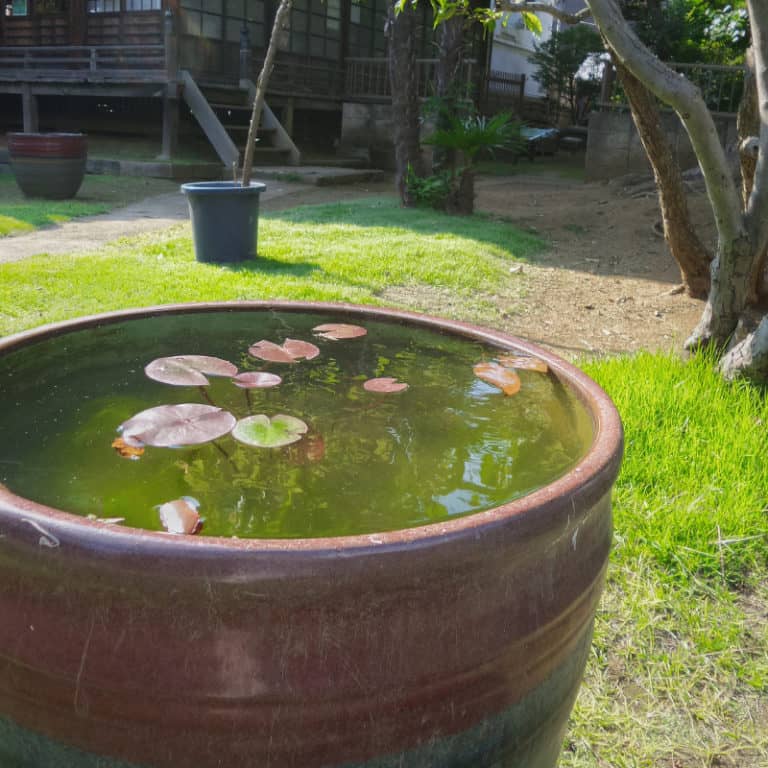 27 Raised Pond Ideas for Small Gardens - Pond Informer