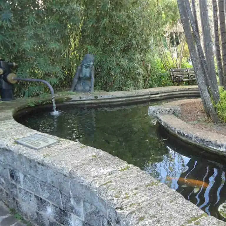 27 Raised Pond Ideas for Small Gardens - Pond Informer